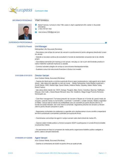 Curriculum Vitae Romanian | PDF