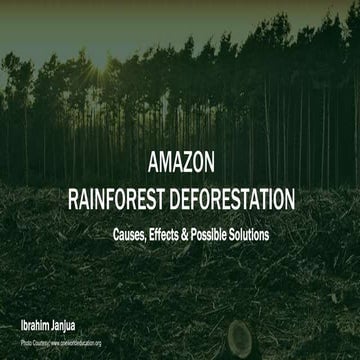 Amazon Rainforest Deforestation | PPTX