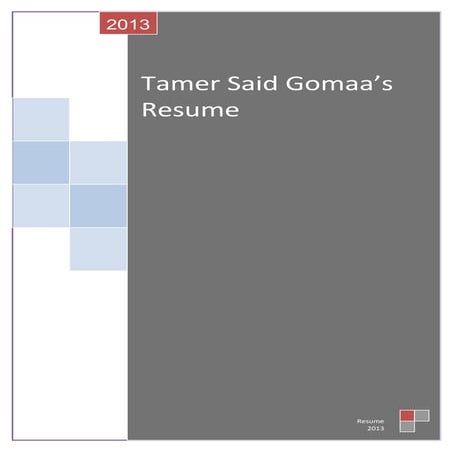 Tamer Said Resume(1)-2 | DOC