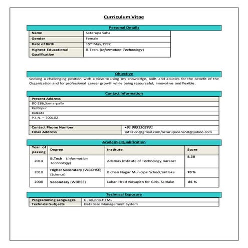 Curriculum Vitae | DOCX | Databases | Computer Software and Applications