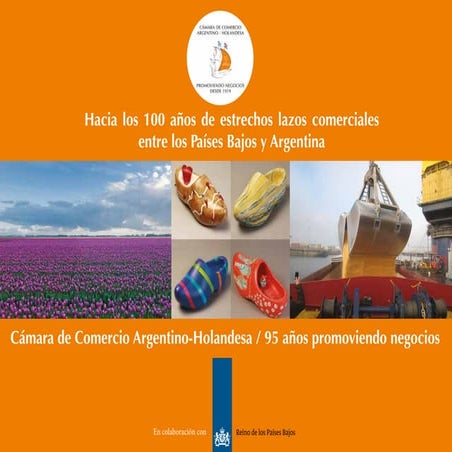 CCAH_95_a_os | PDF