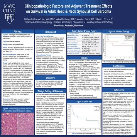 HNSS Poster Draft v6 | PPT