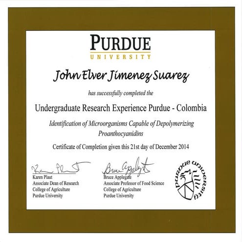 Intership Diploma Purdue University | PPT