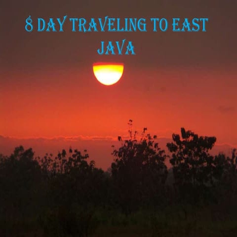 8 day traveling to east java Visit Bromo, Baluran, Ijen, Papuma | PPT