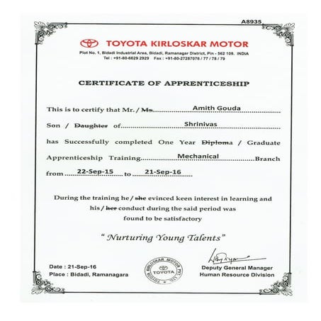 TOYOTA WORK EXPERIENCE | PDF