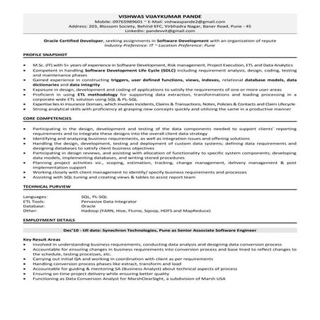 Vishwas Pande | DOC | Databases | Computer Software and Applications