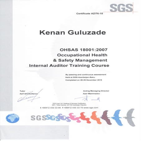 SGS 18001 | PDF