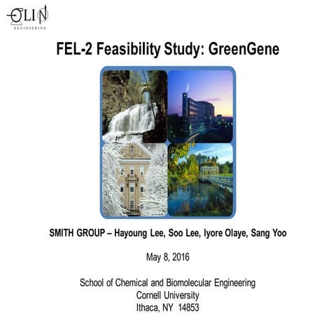 GreenGene Fel-2 Feasibility Test | PPT