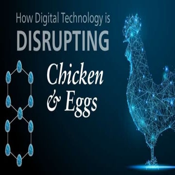 Flocking to digital: The future of poultry technology | PPT