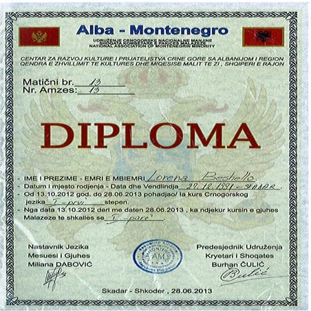 Diploma BA | PDF