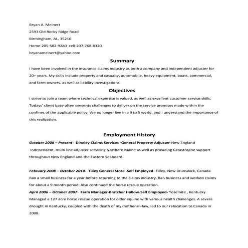BAM-2015-resume | PDF