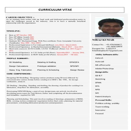 NIRAJ CV (1) | DOCX