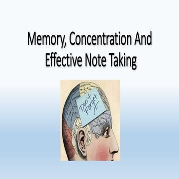 Memory, Concentration and | PPTX