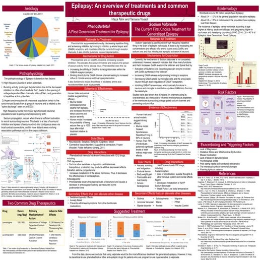 Epilepsy Poster titiu | PPT