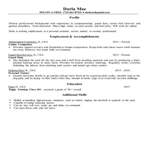 pet resume | DOCX | Dogs | Pets