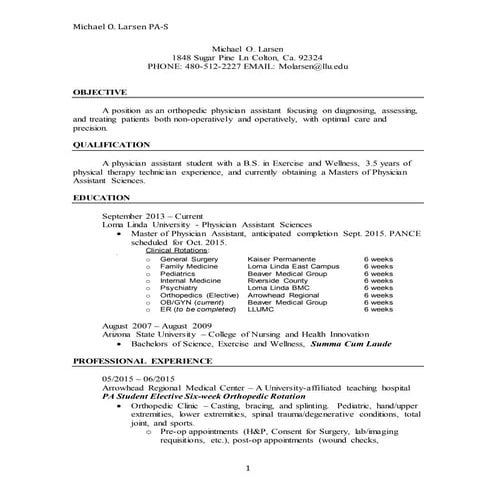 CV_Michael Larsen | DOCX