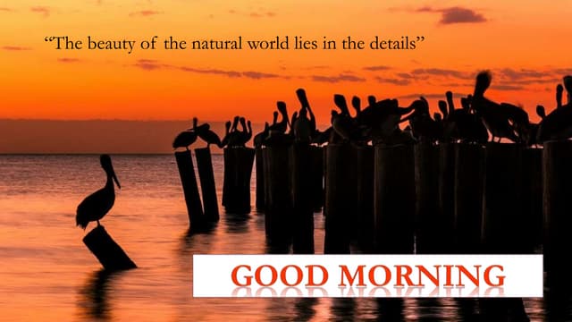 EXTRACELLULAR MATRIX AND ITS COMPONENTS | PPTX