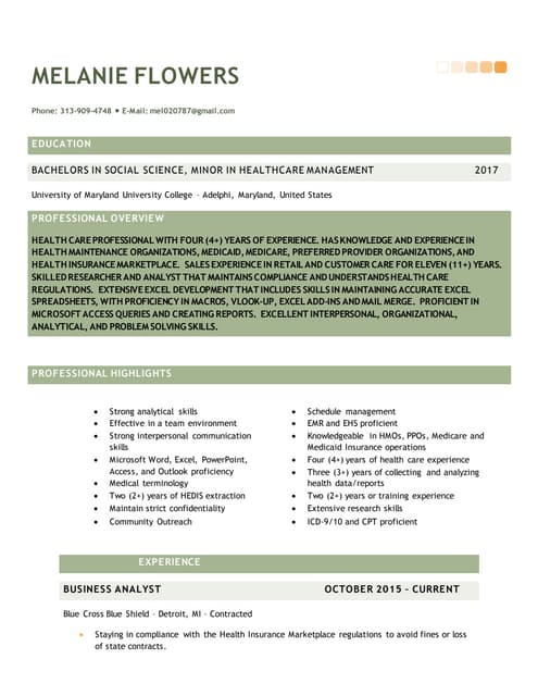 Document lisa resume1 | PDF