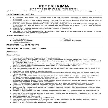 Peter Irimia_CV Template | PDF