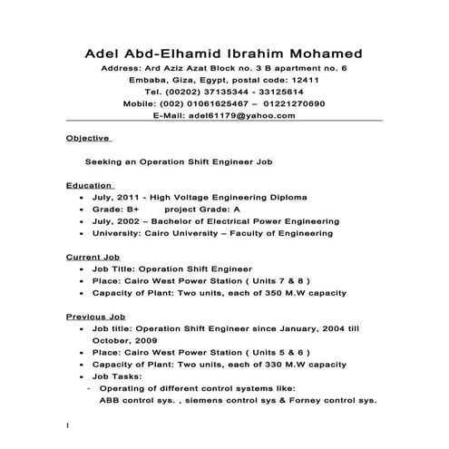 adel cv | PDF