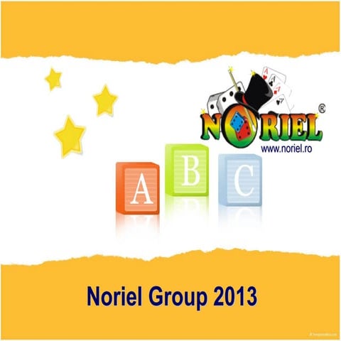 Noriel Group 2013 | PDF