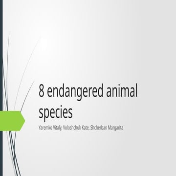 10 Most Dangerous Animals in the World.pdf