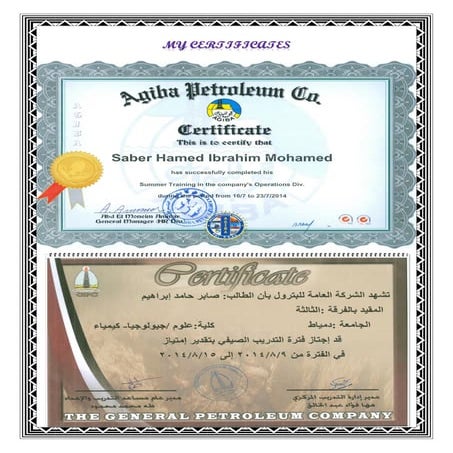 CERTIFICATES | PDF