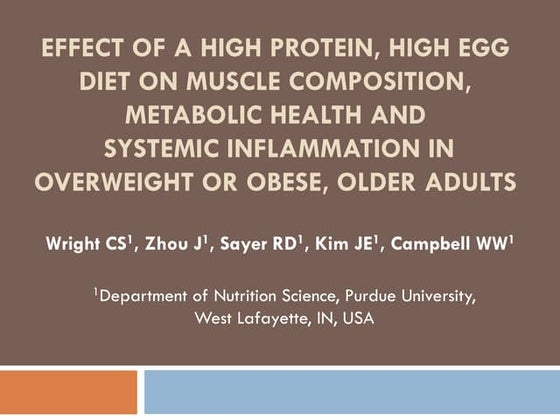 EFFECTS IN LACK OF PROTEIN INTAKE IN HUMAN BODY | DOCX | Bodybuilding ...