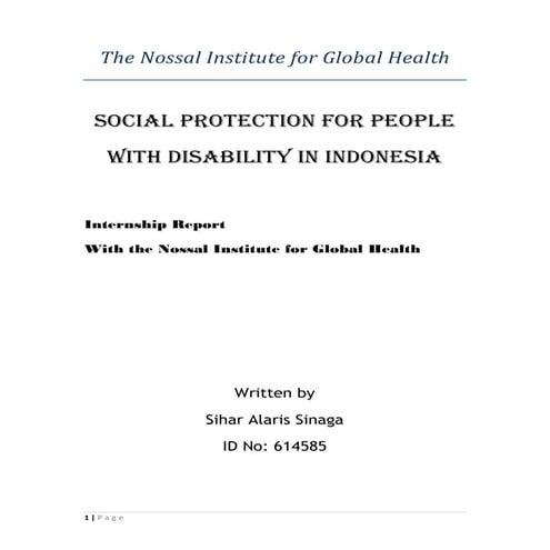Report on Indonesia's Social Protection for PwD | PDF