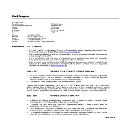 CV - PB - 2015 | PDF | Business Administration | Business