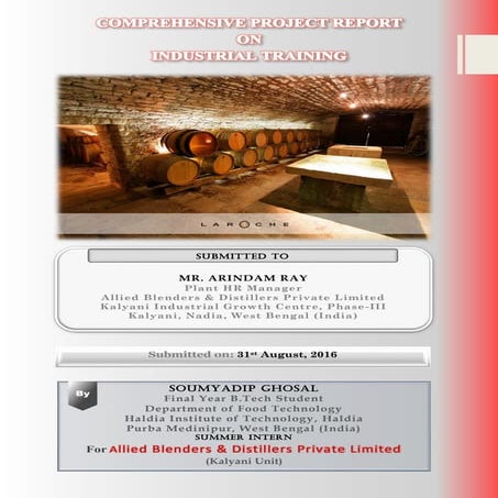 Industrial Project Report | PDF
