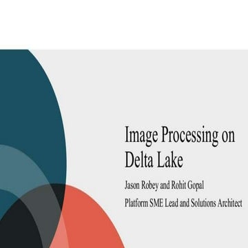 Delta lake image processing | PPT