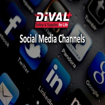 Social Media Channels | PDF