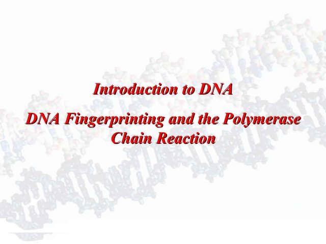 Dna Forensic Analysis