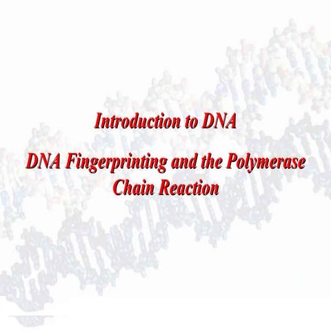 8 f forensic d n a analysis (student) | PPT | Chemistry | Science