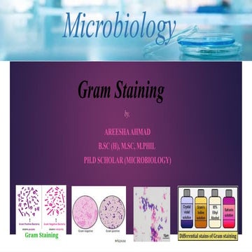 Gram Staining - Microbiology for Lab Technicians | PPT