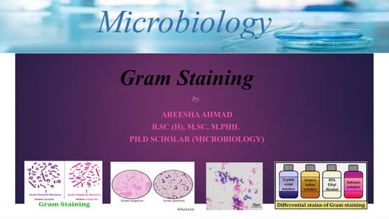 Gram Staining PDF.pdf