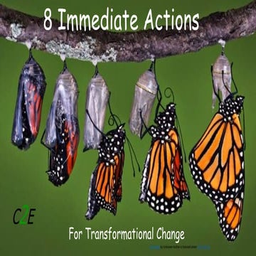 Value Stream Transformation: 10 Keys to Success | PDF