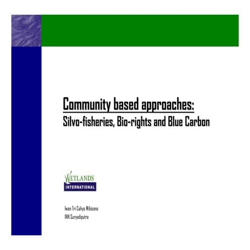 Community Based Approaches: Silvo-Fisheries, Bio-rights and Blue Carbon ...