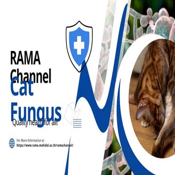 ความดันโลหิตสูง คือ | RAMA CHANNEL | PPTX