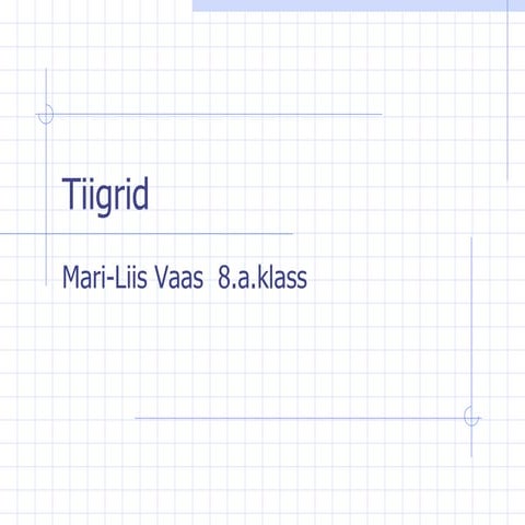 Tiigri | PPT