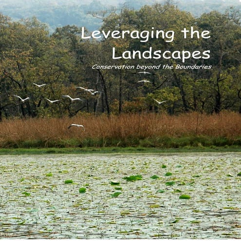 Landscape conservation article 2011 amulya sir | PDF