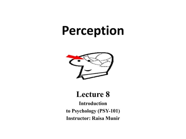 Perception in Psychology | PPT