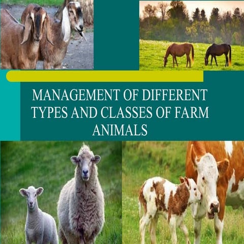 8 Management of Farm Animals.ppt lpro rules | PPT