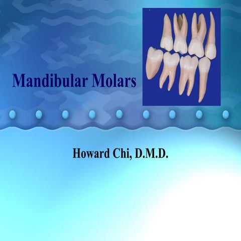Morphology of Permanent Maxillary Central Incisor- Dr. Saba Arshad.pptx