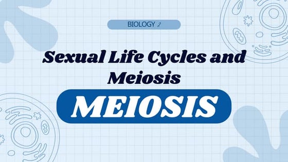 Introduction to Meiosis - PowerPoint Presentation | PPTX