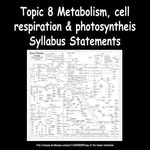 8 metabolism, cell respiration & photosynthesis syllabus statements | PPT