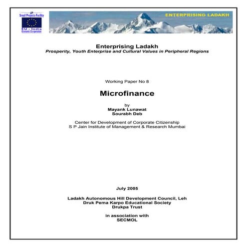 8 microfinancewp16aug05 | PDF