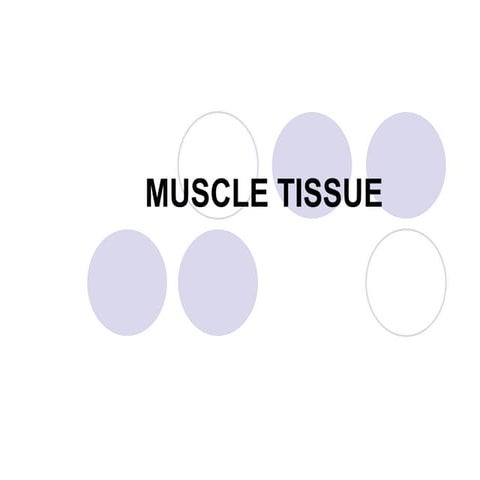 8_MUSCLE TISSUE.pptx