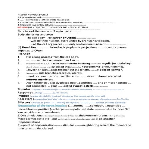 nervous system | PPT